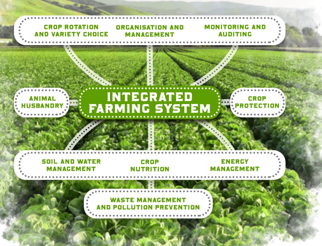Agriculture Management Courses in India: A Comprehensive Overview