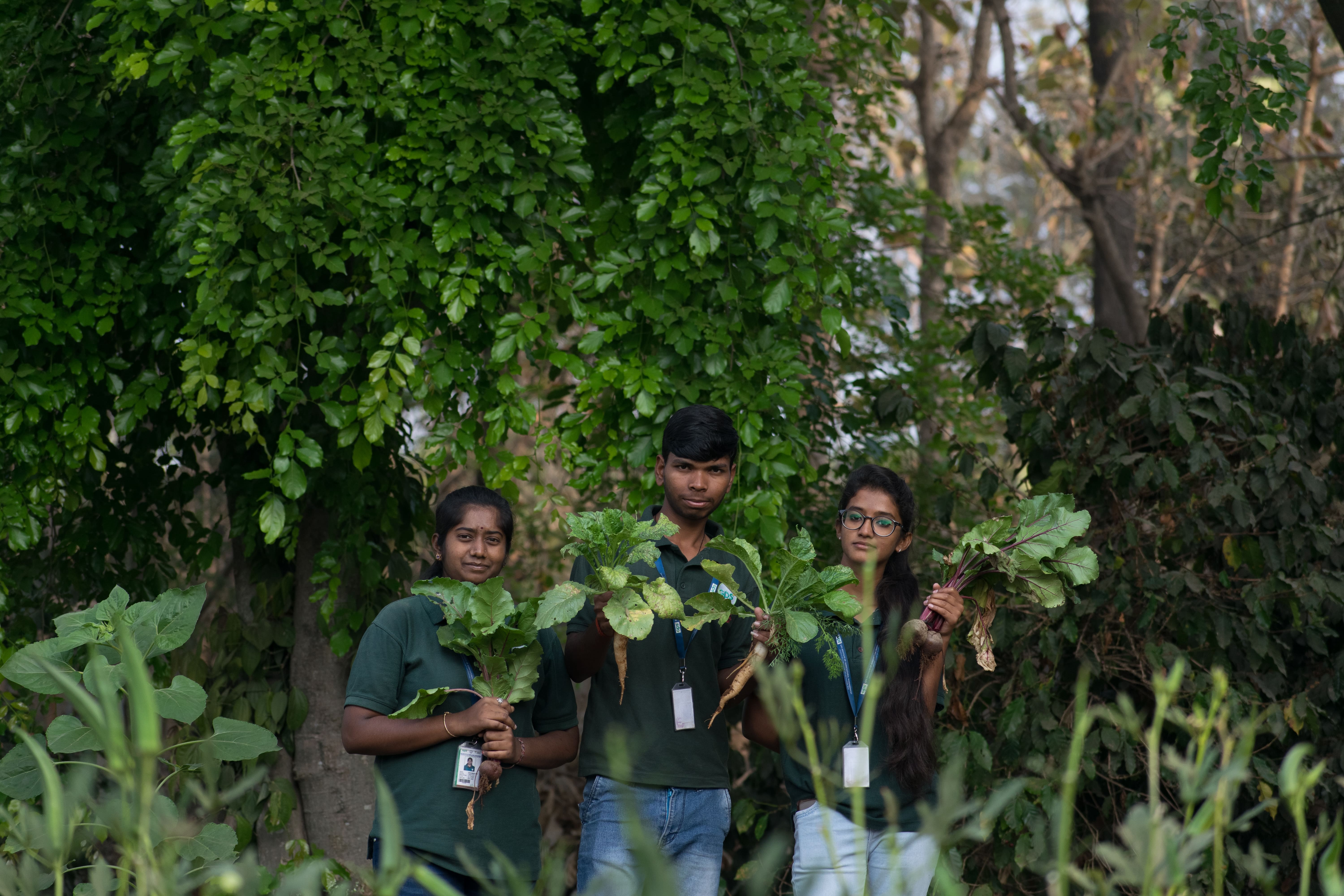 Diploma in Agriculture: A Pathway to Sustainable Farming and Rural ...